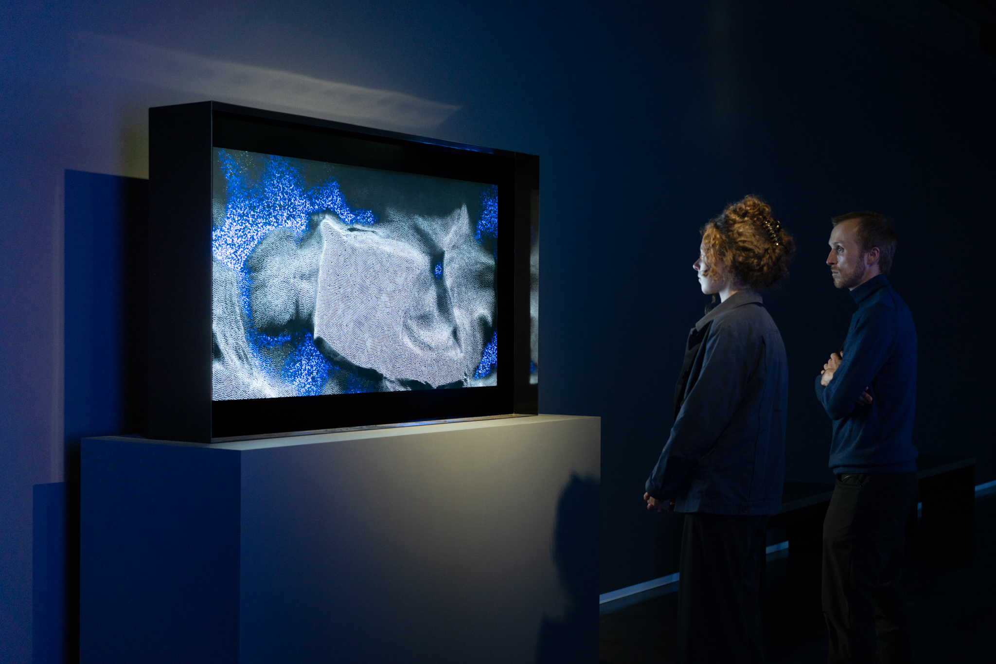 Simulation Hypothesis – Maxim Zhestkov