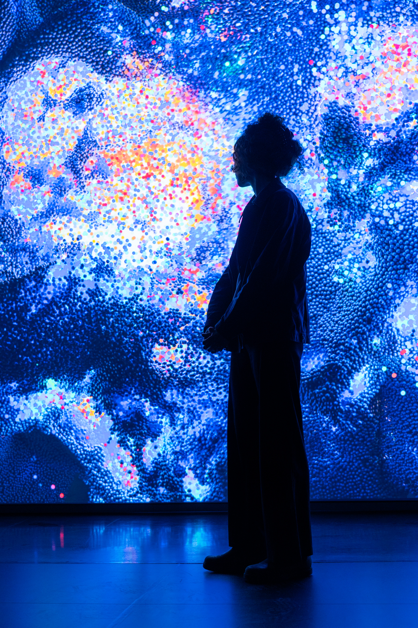Simulation Hypothesis – Maxim Zhestkov