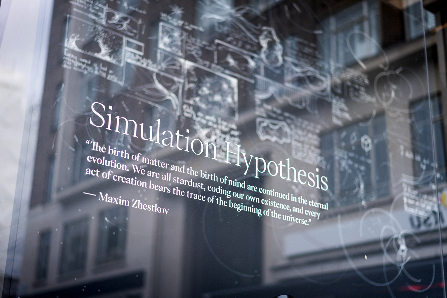 Simulation Hypothesis – Maxim Zhestkov